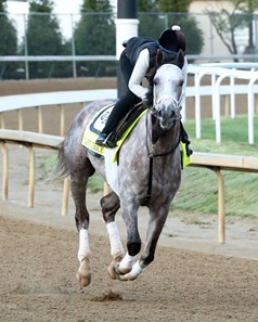 Tapit Trice - Horse Profile - BloodHorse