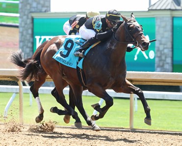 Mangione - Horse Profile - BloodHorse