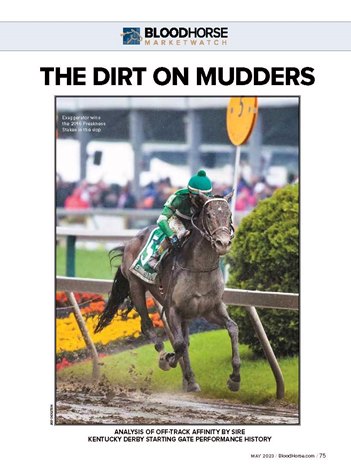 BloodHorse MarketWatch: The Dirt on Mudders - BloodHorse