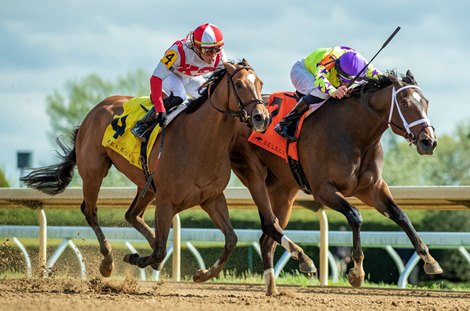 Cutback Suits Key of Life in Miss Preakness - BloodHorse
