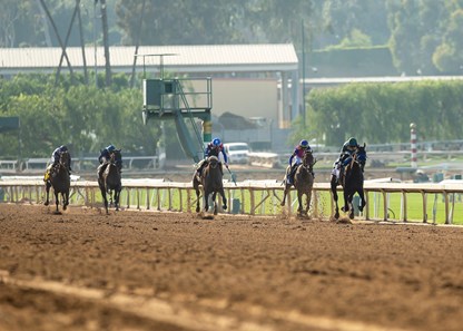 Adare Manor - Horse Profile - BloodHorse