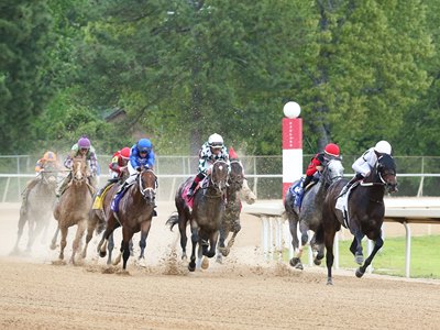 Equibase | Horse Racing | Horse Racing Entries | Horse Racing Results ...