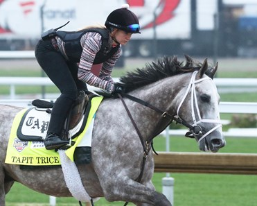 Tapit Trice - Horse Profile - BloodHorse