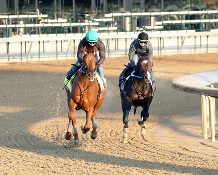 Derby Hopeful Disarm Blazes Five Furlongs at Churchill - BloodHorse