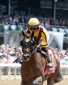 American Rascal - Horse Profile - BloodHorse