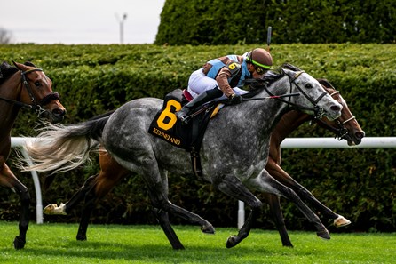 Caravaggio - Horse Profile - BloodHorse