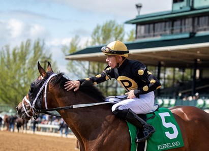 Gaslight Dancer - Horse Profile - BloodHorse