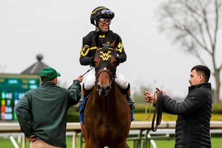 Bledsoe - Horse Profile - BloodHorse