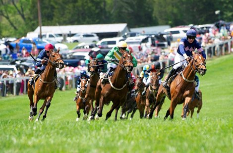 ABR to Livestream Middleburg Spring Races in Virginia - BloodHorse