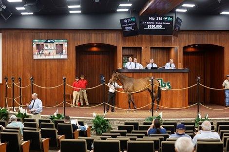 Bolt d'Oro Filly Makes Impression on Lael Stables - BloodHorse