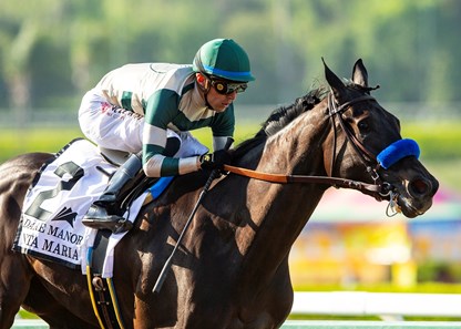 Adare Manor - Horse Profile - BloodHorse