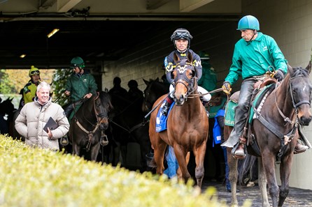 Bledsoe - Horse Profile - BloodHorse