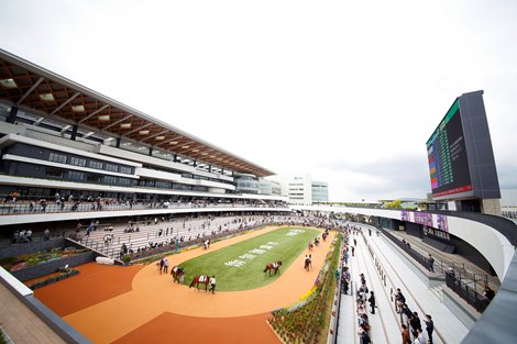 JRA Announces 2024 Racing Fixtures - BloodHorse