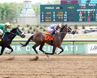 Riley Bee - Horse Profile - BloodHorse