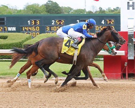Stephen Foster Stakes: Get to Know the Field - BloodHorse