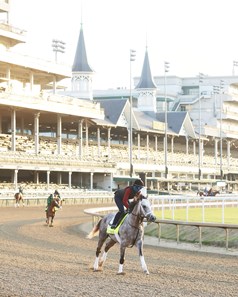 Tapit Trice - Horse Profile - BloodHorse