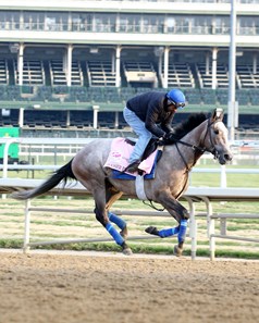 Hoosier Philly - Horse Profile - BloodHorse