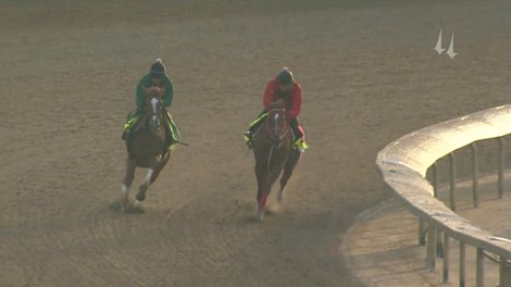 Continuar and Derma Sotogake Work at Churchill Downs - Video - - BloodHorse