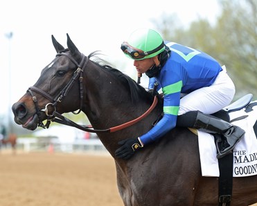 Goodnight Olive - Horse Profile - BloodHorse