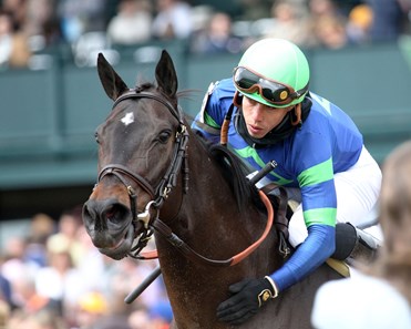 Goodnight Olive - Horse Profile - BloodHorse