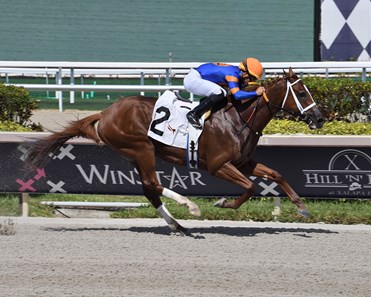 Mr. Peeks - Horse Profile - BloodHorse