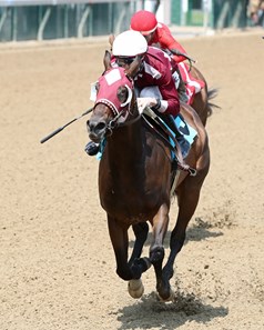 Miss Arlington - Horse Profile - BloodHorse