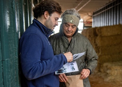 Mage - Horse Profile - BloodHorse