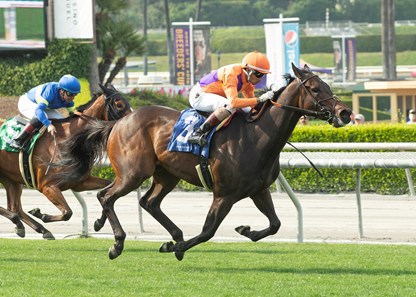 Ruby Nell - Horse Profile - BloodHorse