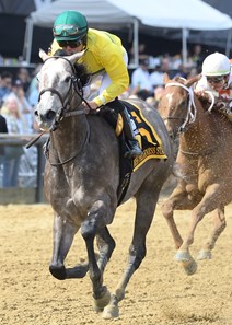 Maple Leaf Mel - Horse Profile - BloodHorse