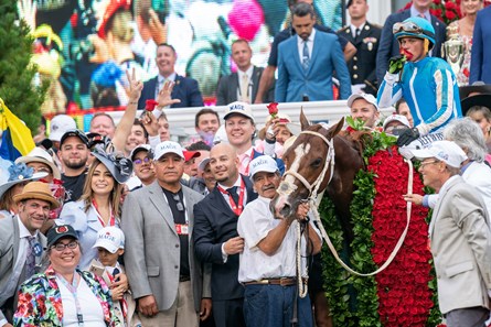 Mage - Horse Profile - BloodHorse