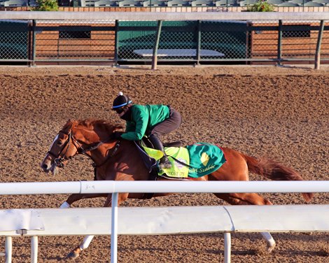 Derma Sotogake, Continuar Aim to Make Derby History - BloodHorse