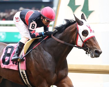 Lazarus - Horse Profile - BloodHorse