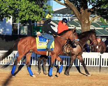 Practical Move - Horse Profile - BloodHorse