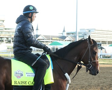 Raise Cain - Horse Profile - BloodHorse