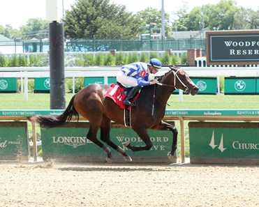 Sharp Tune - Horse Profile - BloodHorse