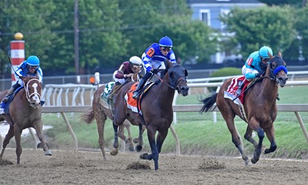 National Treasure - Horse Profile - BloodHorse
