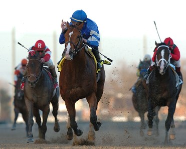 Discreet Cat - Horse Profile - BloodHorse
