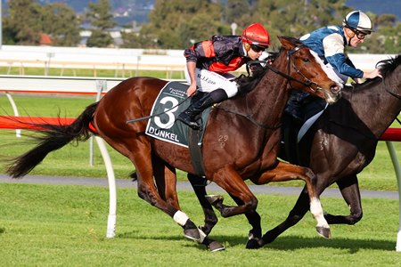 Dunkel Shines Once Again in South Australian Derby - BloodHorse