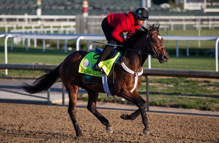 Raise Cain - Horse Profile - BloodHorse