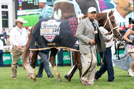 Mage - Horse Profile - BloodHorse