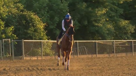 Red Route One Trains at Pimlico May 18 - Video - - BloodHorse