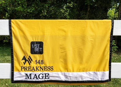 Mage - Horse Profile - BloodHorse