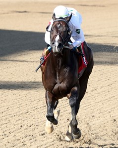 Mullikin - Horse Profile - BloodHorse