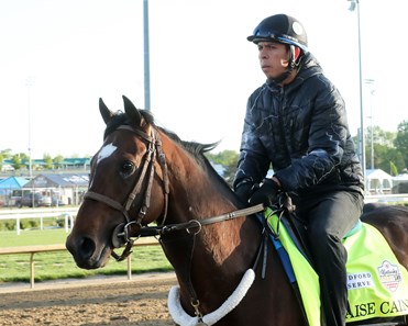 Raise Cain - Horse Profile - BloodHorse