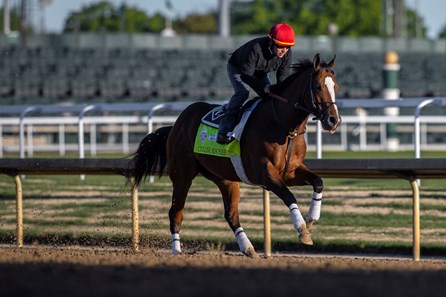 Cyclone Mischief - Horse Profile - BloodHorse