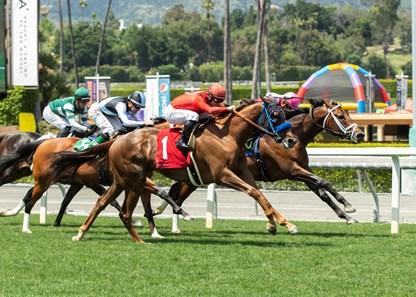 Mi Hermano Ramon - Horse Profile - BloodHorse