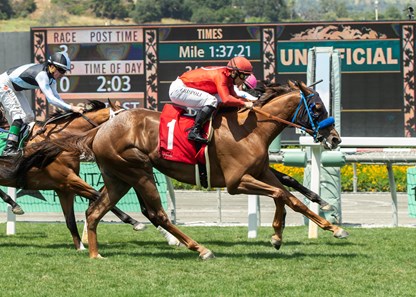 Mi Hermano Ramon - Horse Profile - BloodHorse