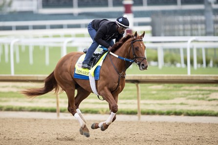 Disarm - Horse Profile - BloodHorse