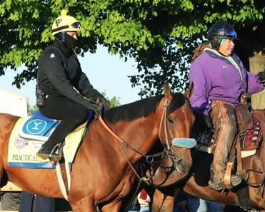 Practical Move - Horse Profile - BloodHorse