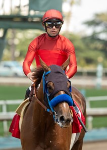 Mi Hermano Ramon - Horse Profile - BloodHorse